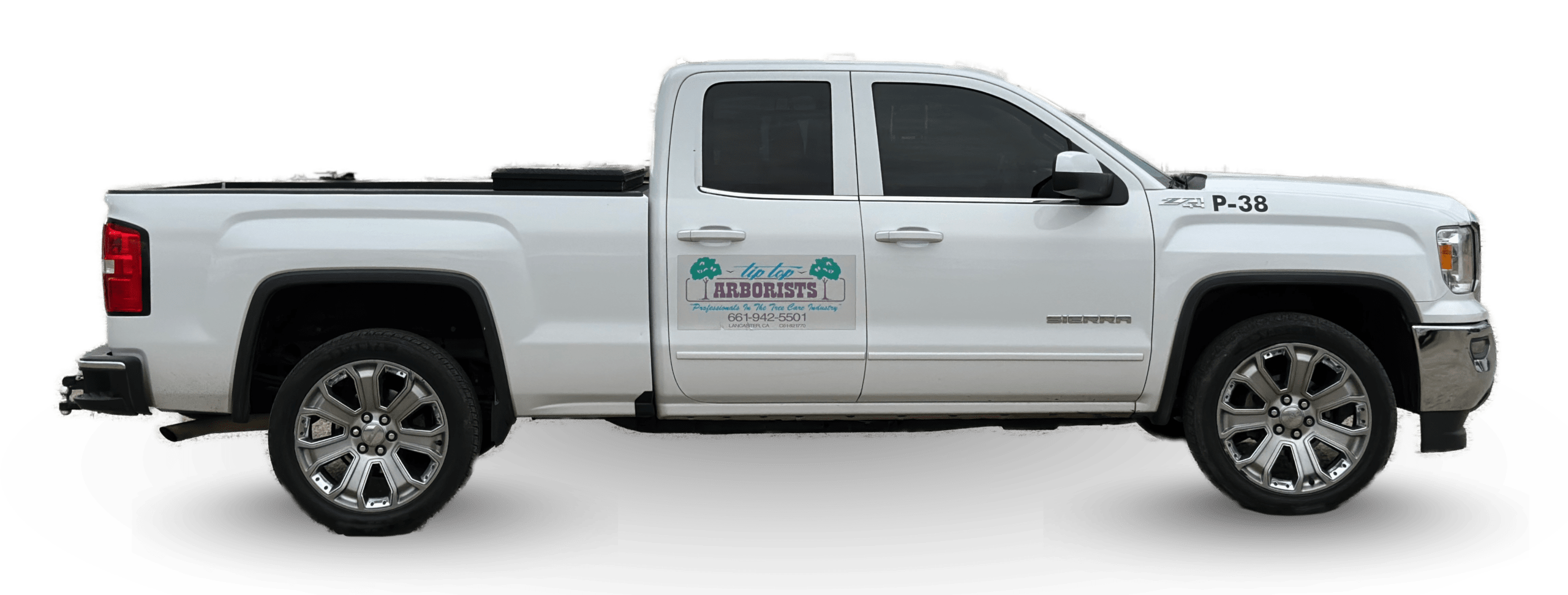 Top 10 Tree Problems in Los Angeles - Tip Top Arborists