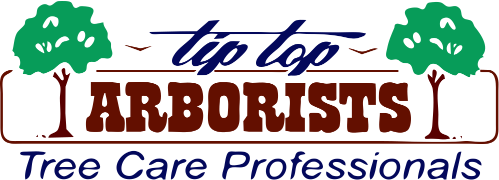 Hesperia – tan-dove-514542.hostingersite.com